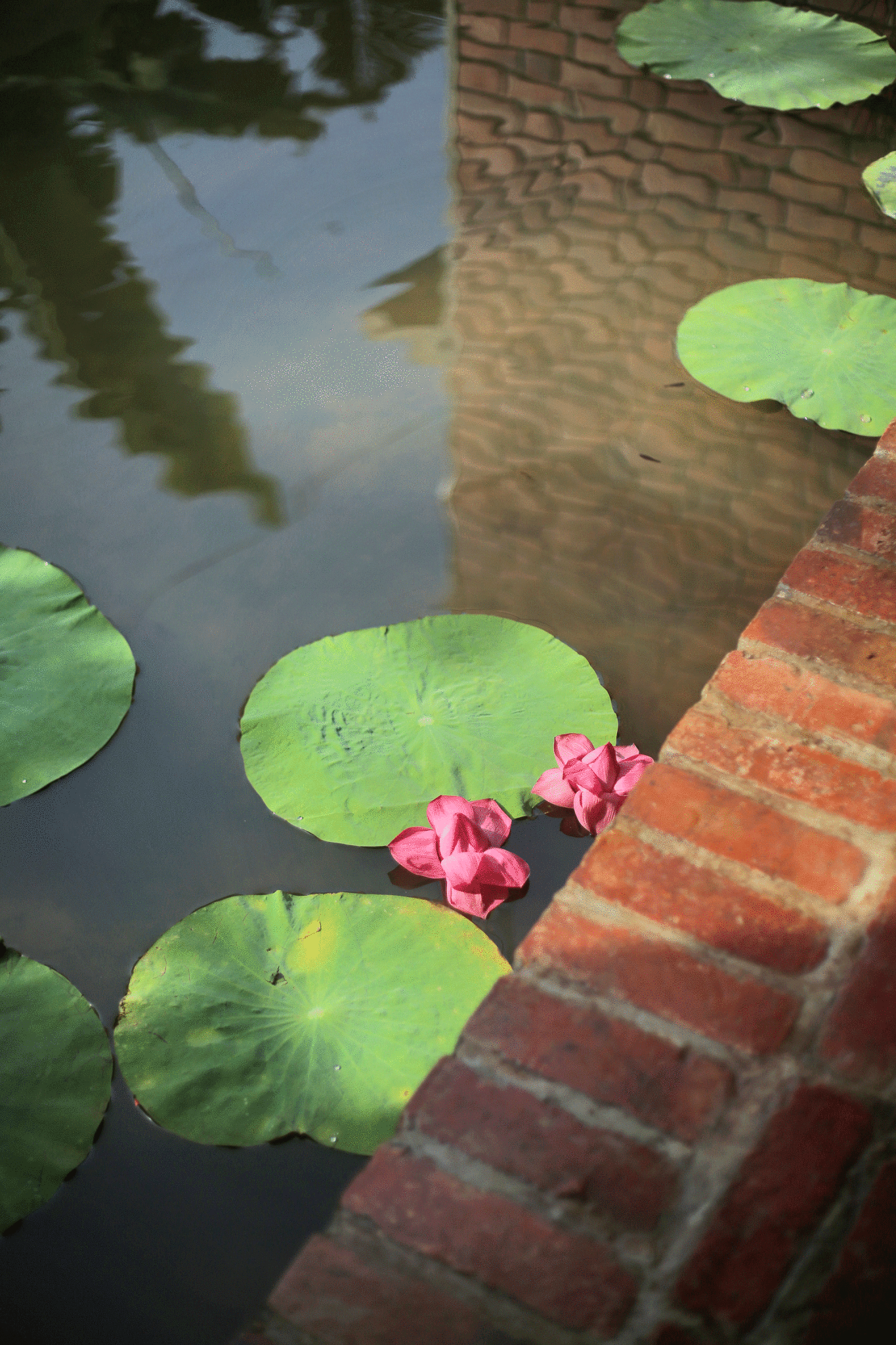 Kerala Architecture Explained | Unbuilt Studio